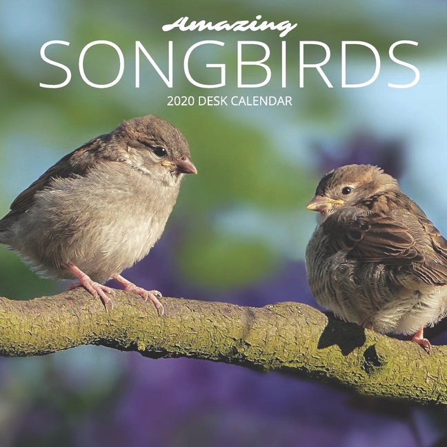 Amazing Songbirds 2020 Desk Calendar : Pretty Birds, 8.5 x 8.5, 12 ...
