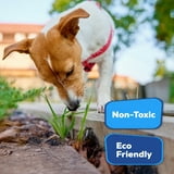 Superclear TerraLock Mulch Glue for Landscaping 5 Gallon Rock Glue ...