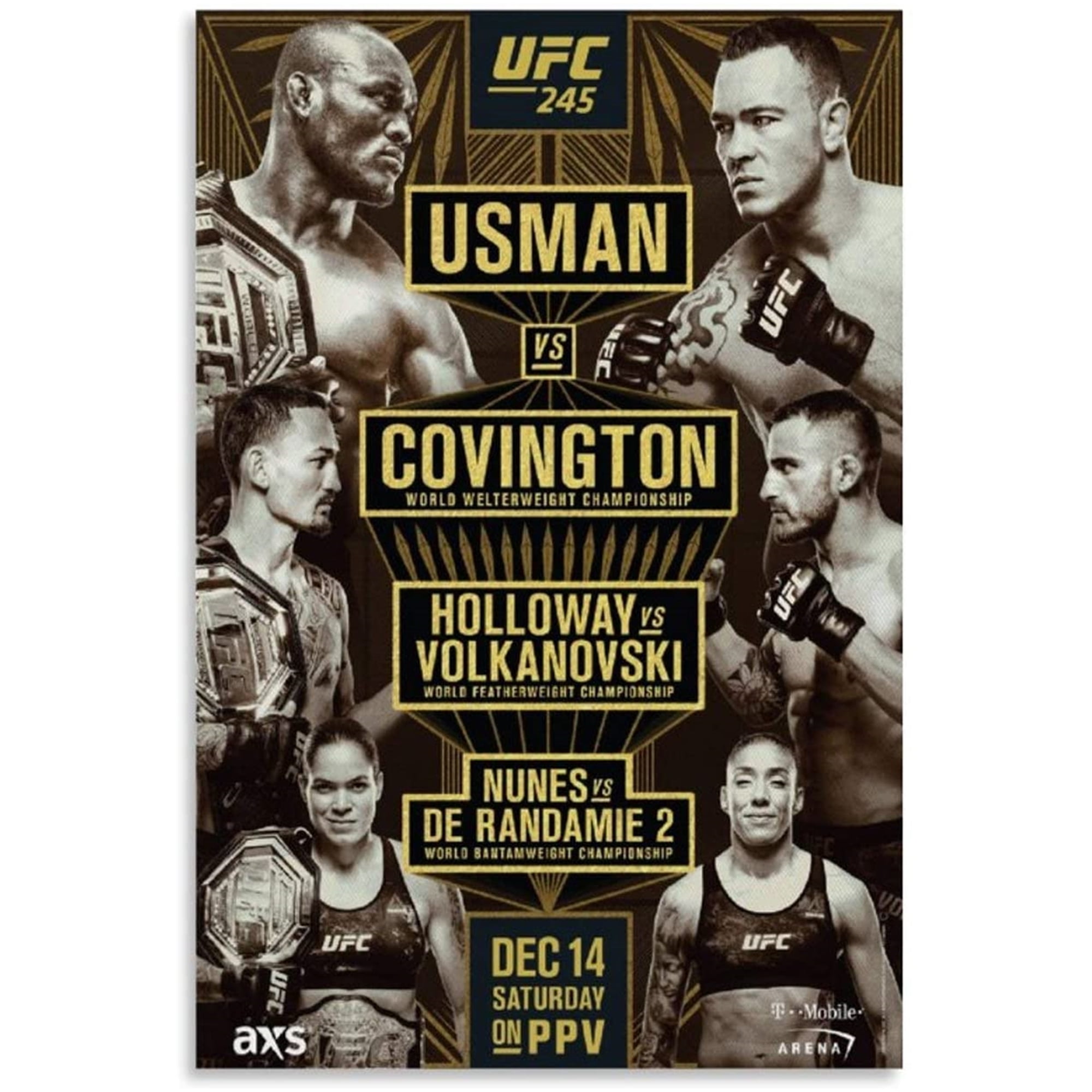 Ufc Poster Size