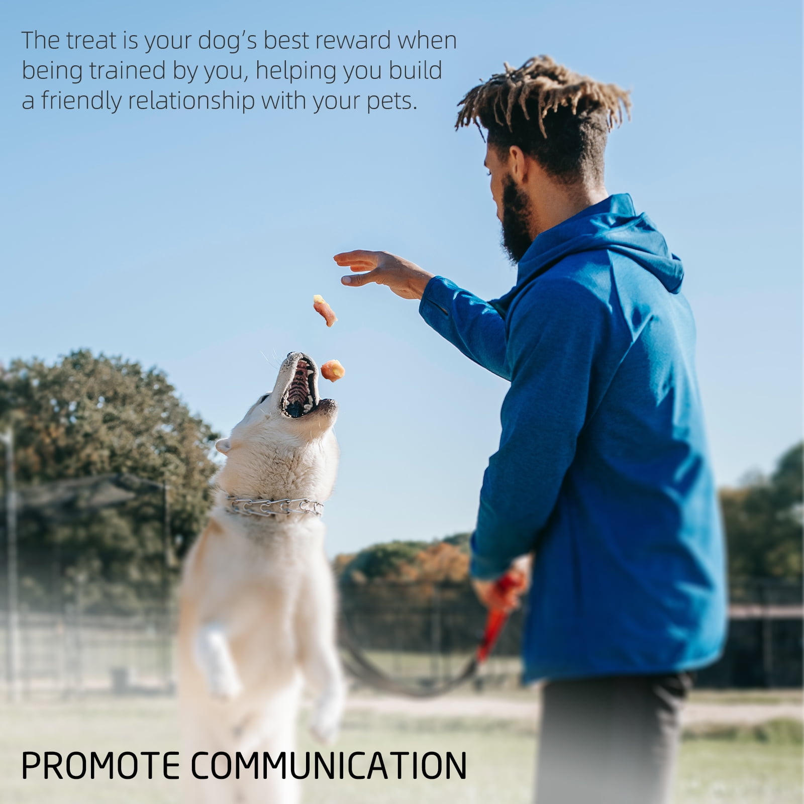 Buy ASMPET Chicken Wrap Banana Rawhide Free Dog Treats, Puppy Training ...
