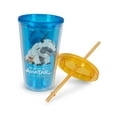 Avatar: The Last Airbender Aang and Appa Carnival Cup With Straw | 16 ...