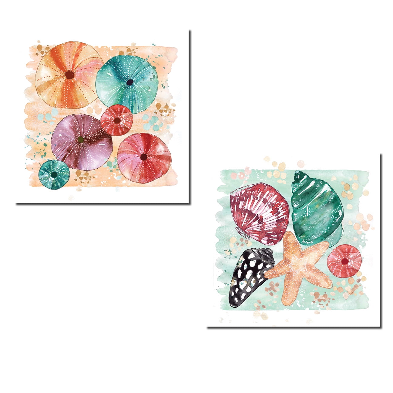 Nautical Multi-Color Sea Urchins, Starfish and Seashells Adult Coastal ...