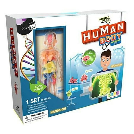 Spice Box Human Body Exploration Kit | Walmart Canada
