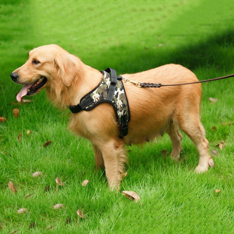 Durable Dog Harness Medium and Large Dogs Training Harness Explosion ...