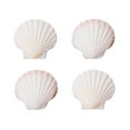 Nantucket Seafood Natural Baking Sea Shells, White, 4-Inch, Set of 4 ...
