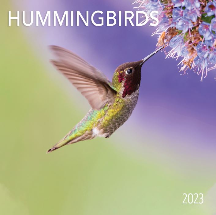 2023-12 Month Calendar- Hummingbirds 12x12 Hanging Wall Calendar by ...