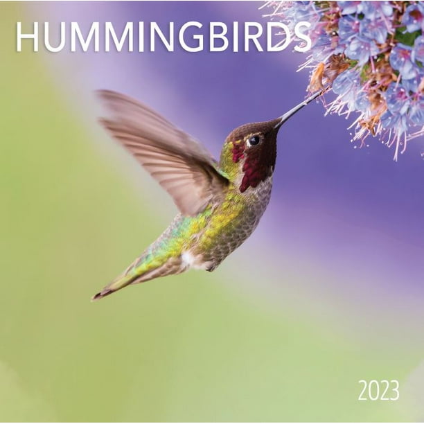 2023-12 Month Calendar- Hummingbirds 12x12 Hanging Wall Calendar by ...