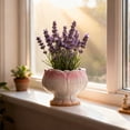 Ceramic Flower Planter, Gradient Color, Breathable Glossy Finish, Small ...