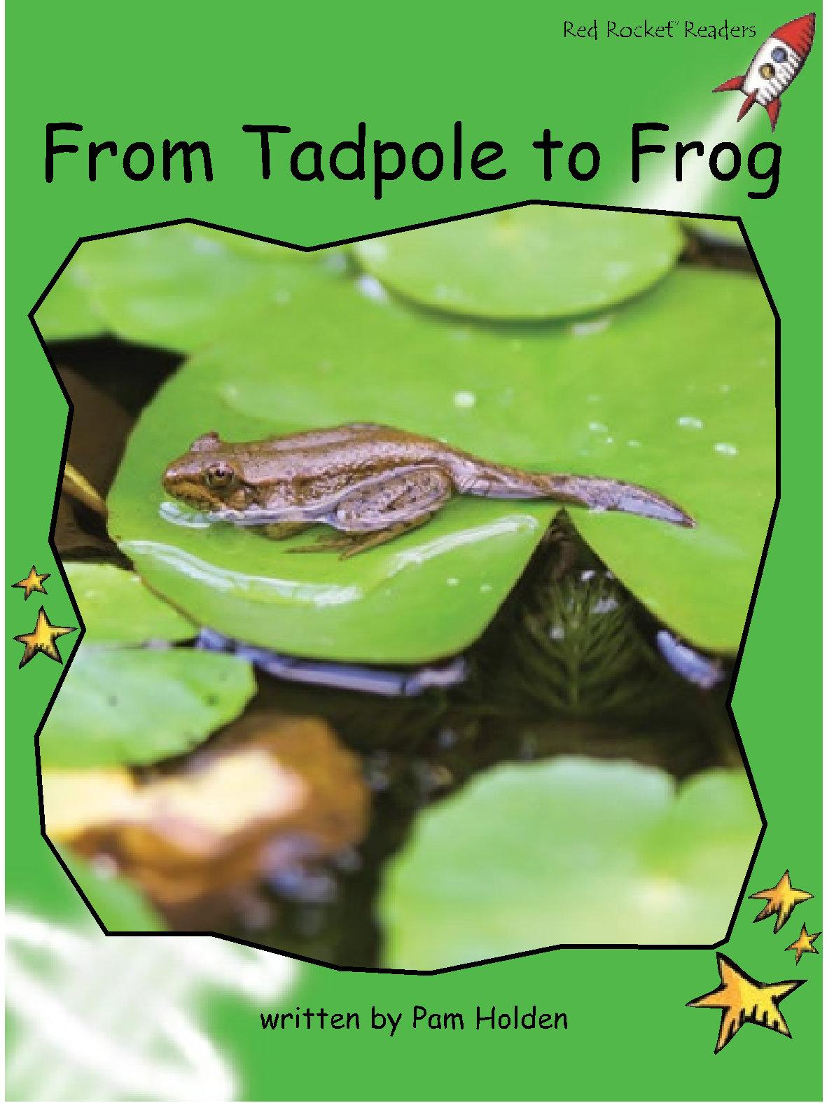 Red Rocket Readers: From Tadpole to Frog Big Book Edition (Paperback ...
