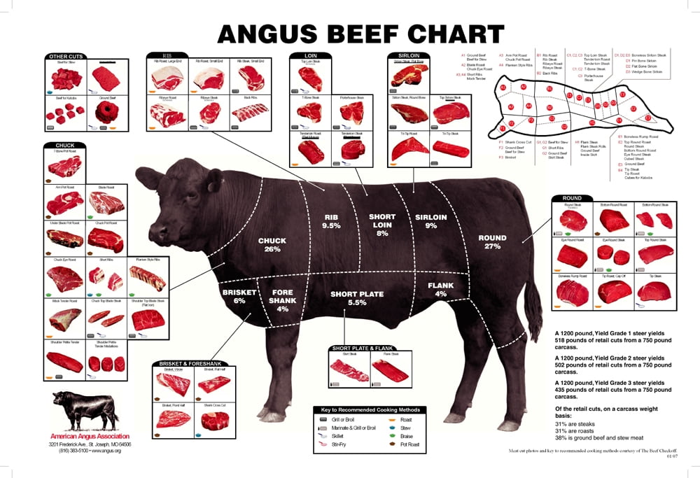 Angus Beef Chart Meat Cuts Diagram Poster 11in x 17in Mini Poster 11 x ...