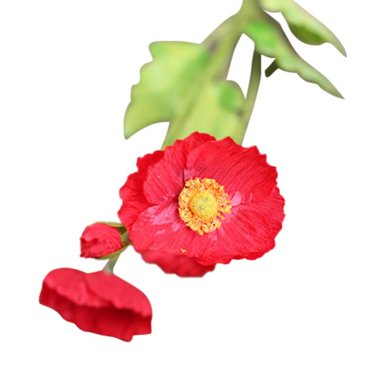 Silk Common Poppy Flower Stem 22" Tall - Walmart.com