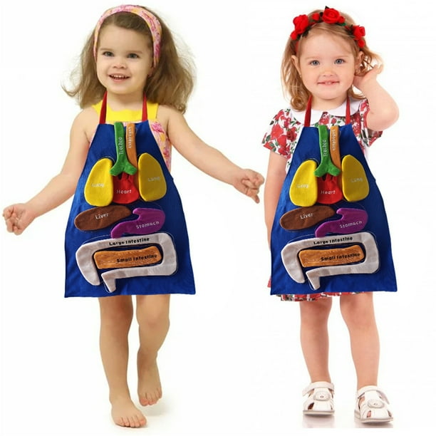 Cameland Kids Toys Organ Apron Apron For Important Organs To Understand ...
