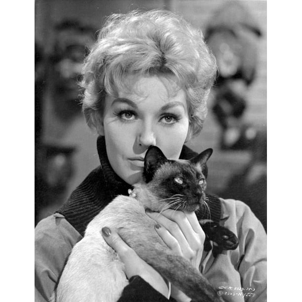 Kim Novak Holding Cat Portrait Close Up Portrait Photo Print (8 x 10 ...