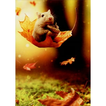 Avanti Press Chipmunk Couple Funny / Humorous Thanksgiving Card ...