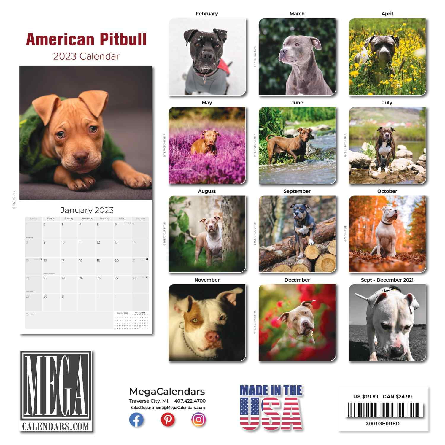 2022 2023 Pitbull Calendar – Dog Breed Monthly Wall Calendar – American ...