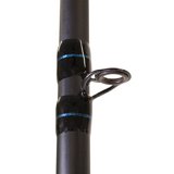 Berkley Fishing Amp 1-Piece Saltwater Casting Rod - Walmart.com