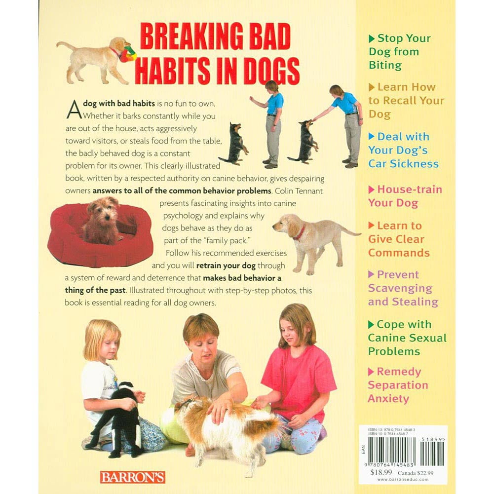 How Do You Break Bad Dog Habits