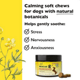 Bach RESCUE Pet Calming Chews for Dogs, 60 Soft Chews - Walmart.com
