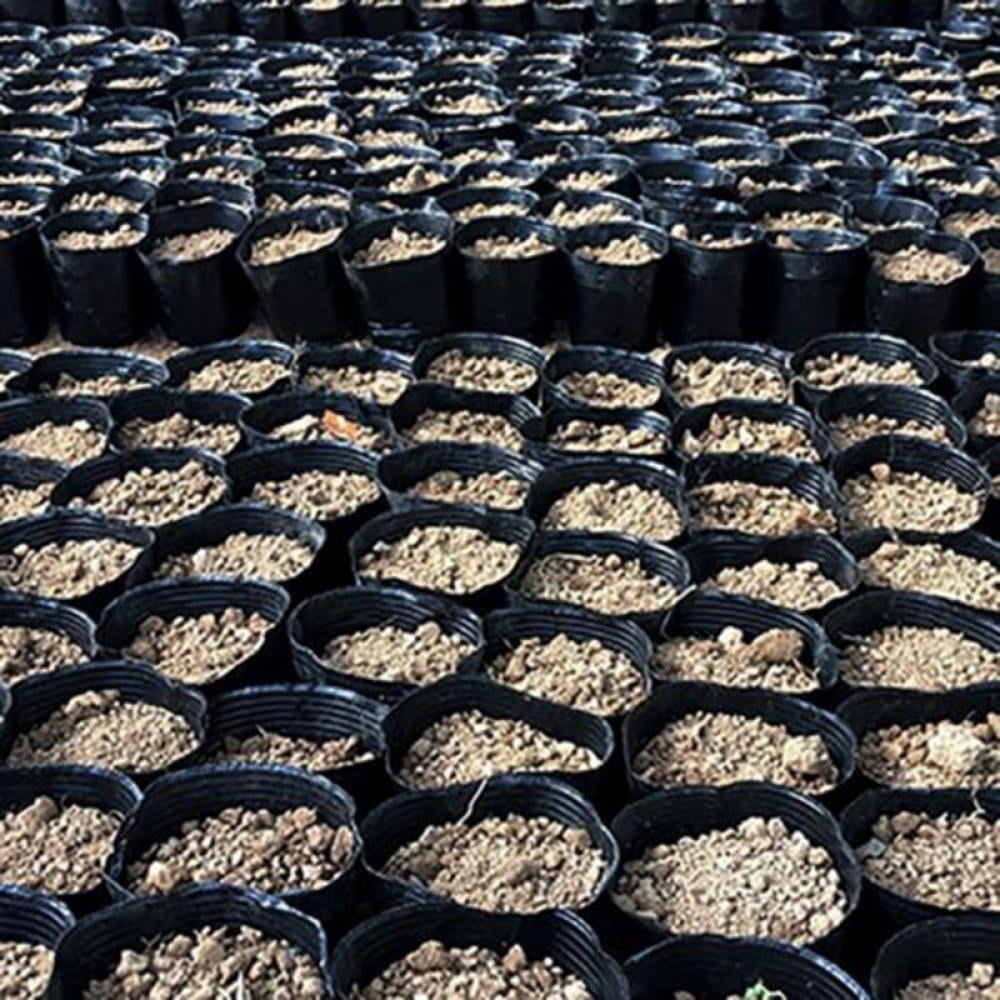 100Pcs Seedling Plants Nursery Bags Organic Biodegradable Grow Bags ...