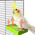 Dsseng Bird Heater for Cage Bird Perch Stand Warmer Snuggle Up for ...