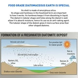 Perma-Guard Diatomaceous Earth, 100% Organic Food Grade, OMRI Certified ...