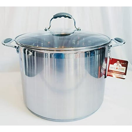 David Burke Elements Heavy gauge Stainless Steel Stockpot 8-qt, 12-qt ...