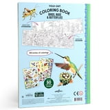 eeBoo: Fold-Out Coloring Book - Bugs, Birds & Butterflies - 50 Stickers ...