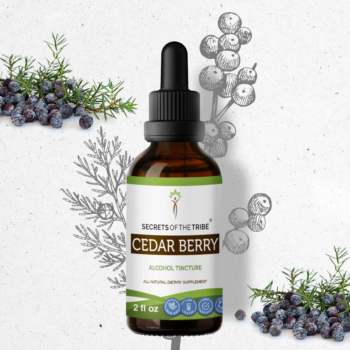 Cedar Berry Tincture Alcohol Extract, Wildcrafted Cedar Berry ...