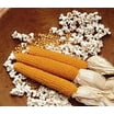 Rare Corn Seeds for Planting - 25 Seeds per Packet - (Mixed Color ...