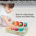 Freecat Pop-Up Pals Toy for Brain Development, Color Sorting, Animal ...