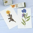 160pcs Pre-Cut Scrapbooks Natural Stickers, Floral and Plant Sticker ...