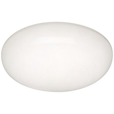 Round Fluorescent Ceiling Fixture 18-3/4 In. Diameter - Walmart.com