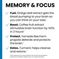 LifeSeasons NeuroQ Neuroprotective Formula, Memory Focus Support, 60 ...