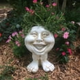 Face Planter 6-Inch Wizard Head Sculpted Resin Pot for Succulents ...