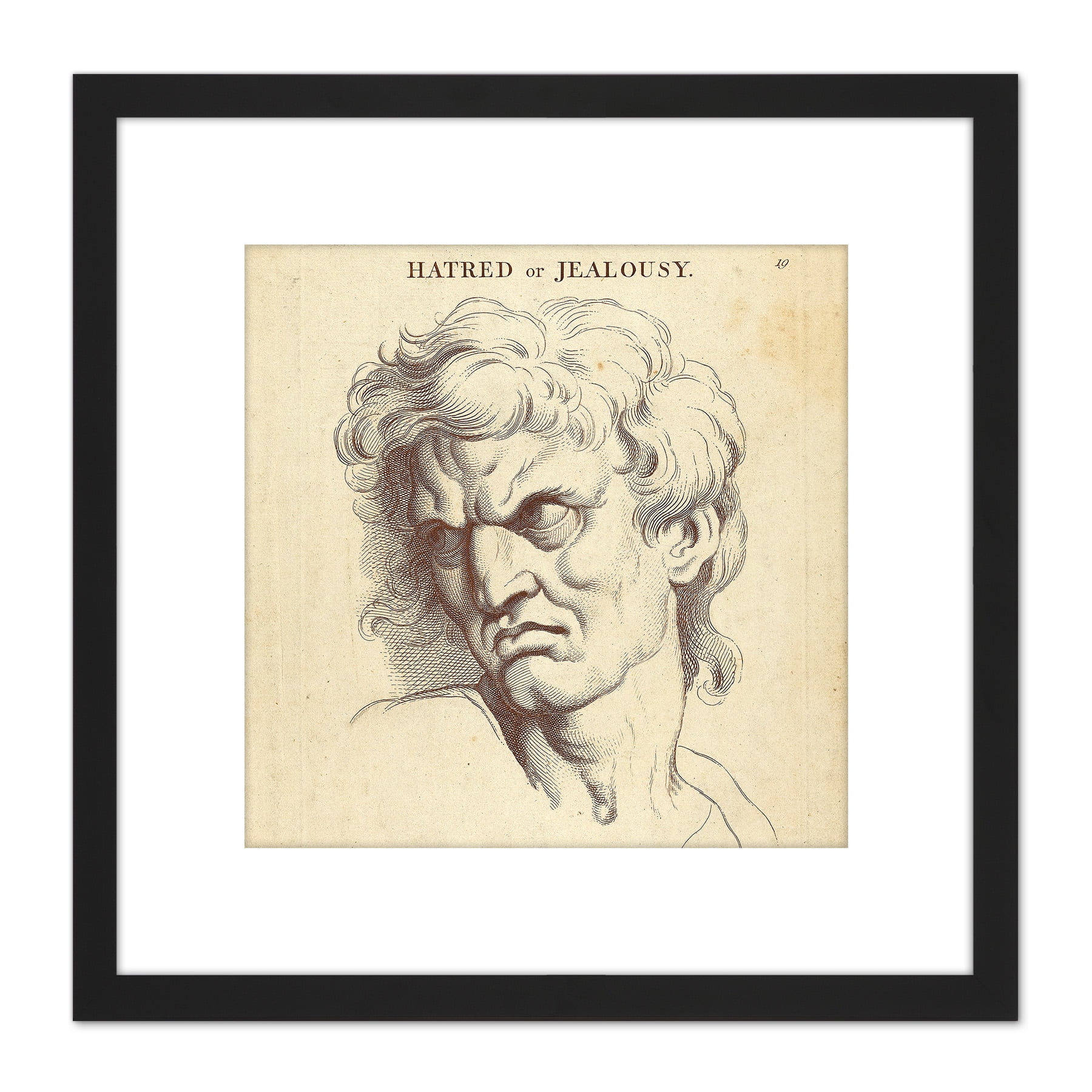 Le Brun Passion Soul Expressions Hatred Jealousy Illustration 8X8 Inch ...