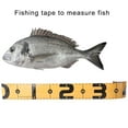 Self-Adhesive Fish Ruler Waterproof Decals Tape Fishing Measuring Tape ...