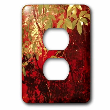 3dRose Live to Rod, flame background, wheelie and smoke - 2 Plug Outlet ...