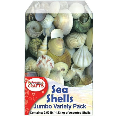 Mixed Sea Shells 2.5Lb Container-Assorted | Walmart Canada