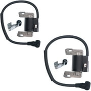 HEPENG 2-Packs 843860 Lawn Mower Electronic Ignition Module Coils for ...