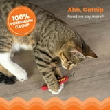Catstages Green Magic Dynamite Stick Catnip Cat Toy, Red for Cats ...