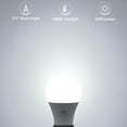 100W Equivalent Bright LED Light Bulbs, Daylight White 5000K A19 ...
