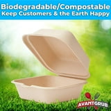 Avant Grub Biodegradable 6x6 Take Out Boxes, 100 Pack, Disposable Carry ...