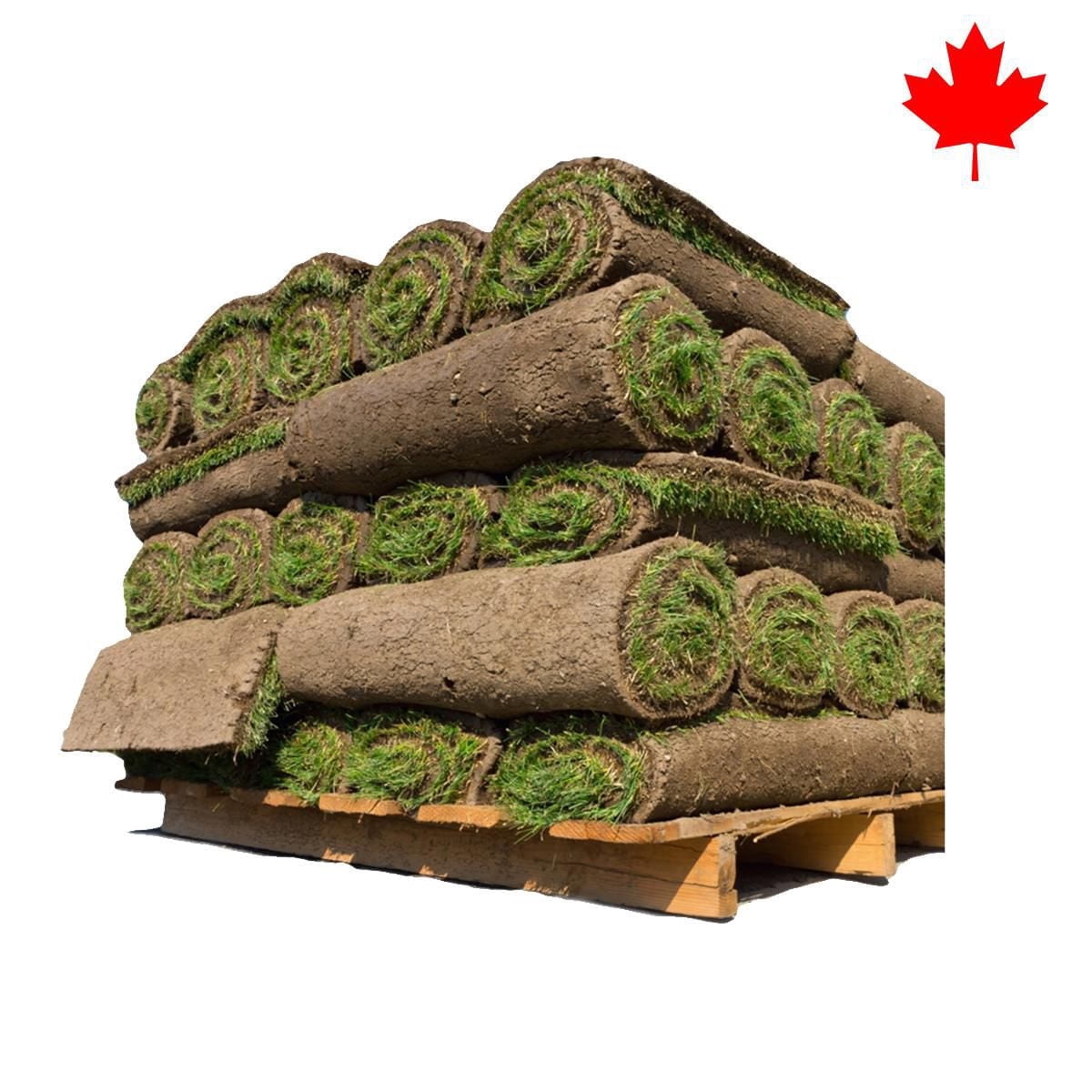 Click here for Bulk Landscape Bags & Sod 500 Sq Ft Grass Sod 500... prices