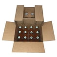 Jarritos Mexican Soda Variety Pack 12/12.5 fl. oz. Glass Bottle Case ...