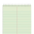 MyOfficeInnovations Steno book 9" x 6" 80 Sheets Gregg Ruled Dozen ...
