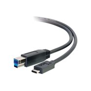 3FT/1M USB-C TO USB-C M/M CABLE USB 2.0 TYPE-C M/M BLACK - Walmart.com