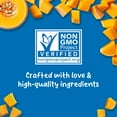 Gerber 2nd Foods Baby Food, Butternut Squash Puree, Clean Label Project ...