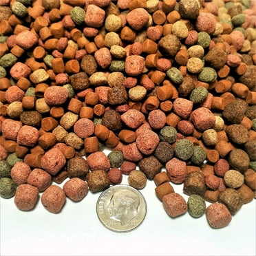 Aqueon Cichlid Color Enhancing Fish Food 4.5 ounces - Walmart.com