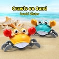 Sensing Interactive Crab: Musical Lights Toy for Infants, USB Charging ...