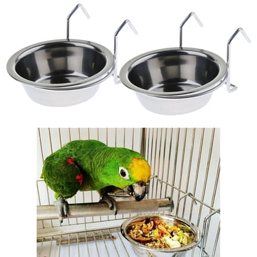 Exo Terra Worm Dish Mealworm Feeder - Walmart.com